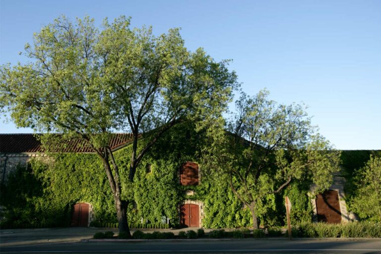 Top 7 Rutherford Wineries to Visit - NapaValley.com