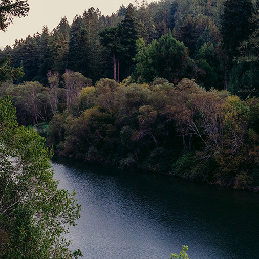 Explore Sonoma County - 2021 Travel Guide - Sonoma.com