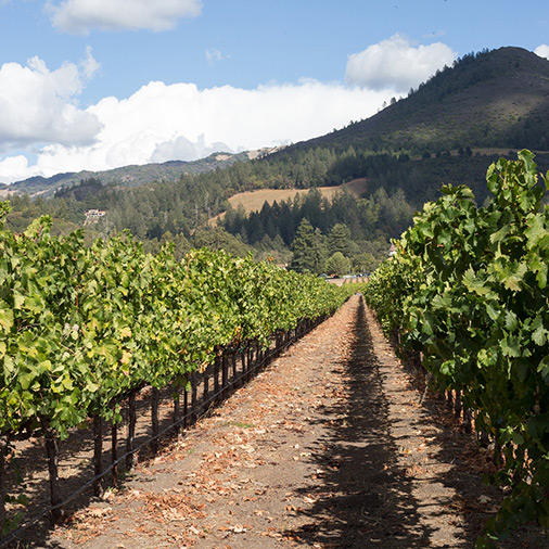Southern Sonoma County 2021 Travel Guide - Sonoma.com