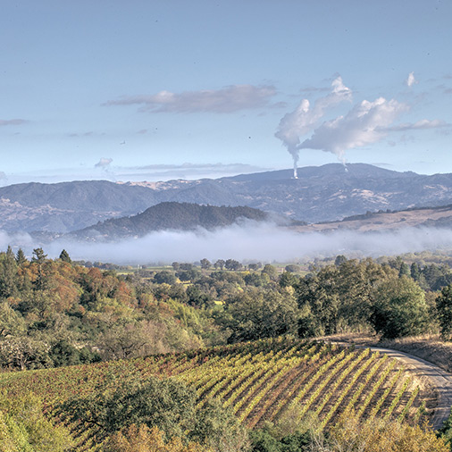 Northern Sonoma County 2021 Travel Guide - Sonoma.com