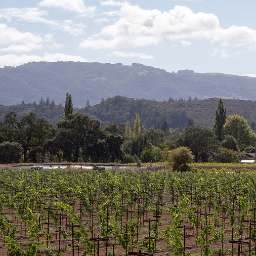 Southern Sonoma County 2021 Travel Guide - Sonoma.com