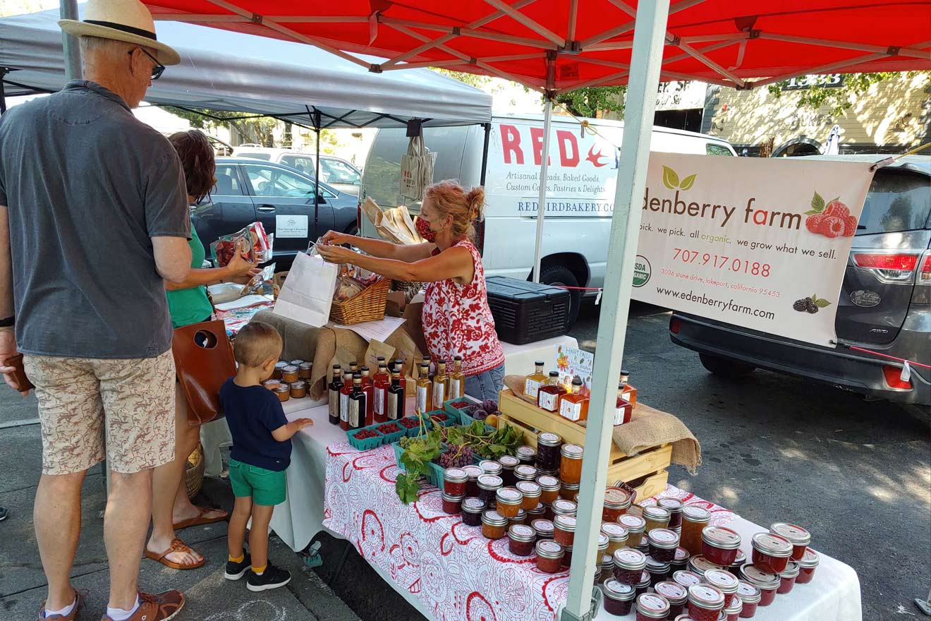 Traveler’s Guide to Healdsburg Plaza - Sonoma.com