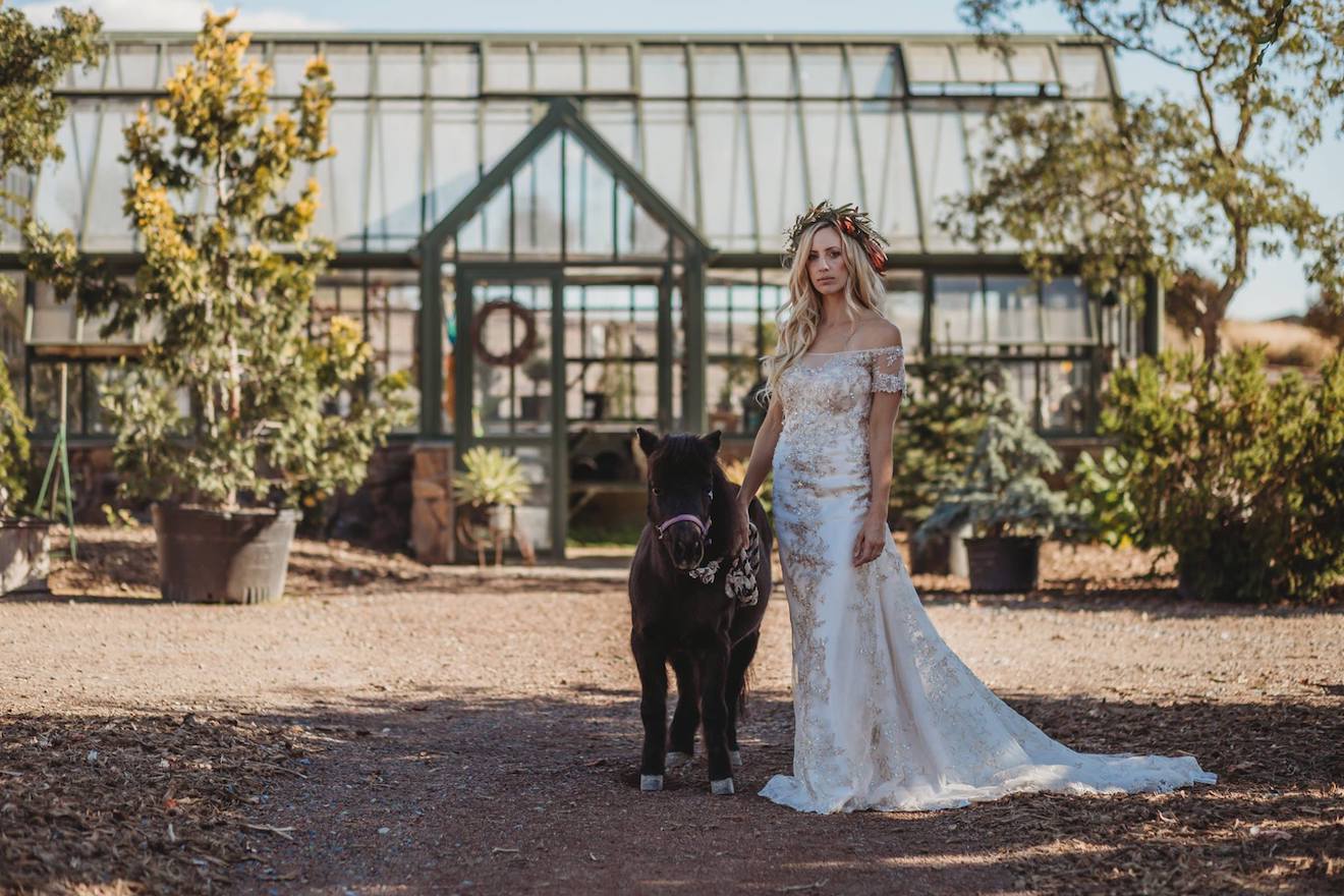 Dreamy Wine Country Wedding Venues for Every Kind of Bride - Sonoma.com