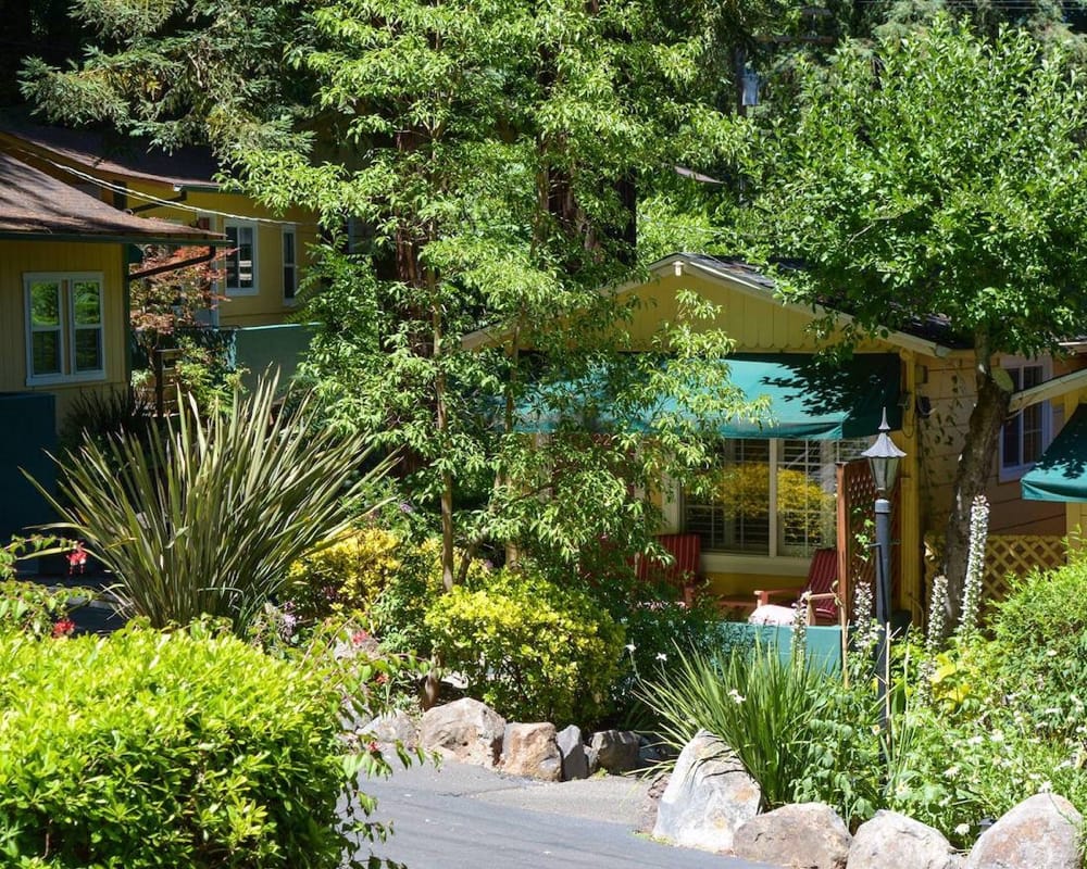 Insider’s Guide to Guerneville