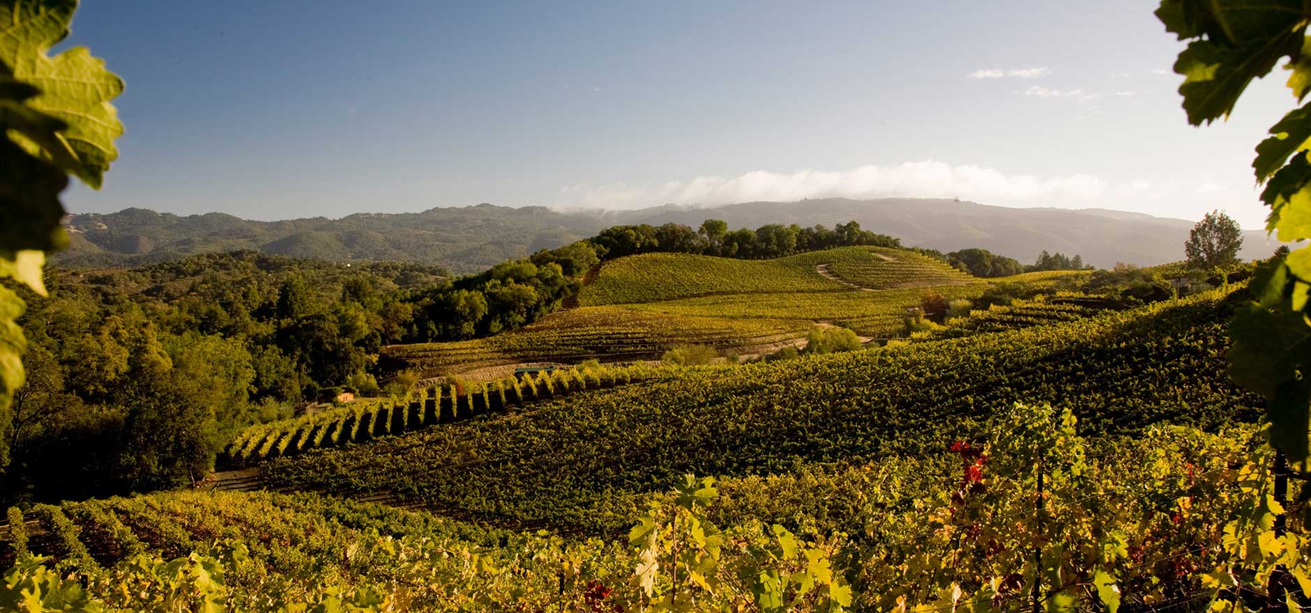 Sonoma County Wine Country Maps - Sonoma.com