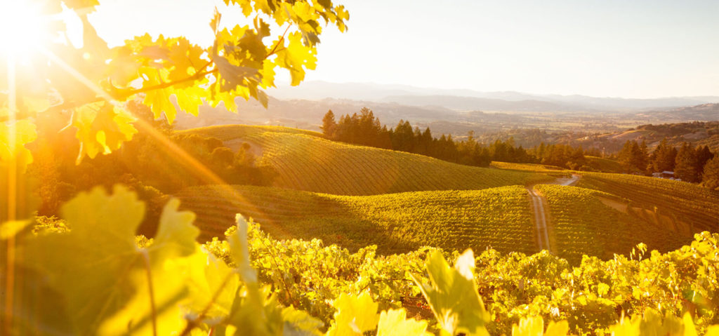 10 Sonoma County Wineries with Beautiful Views - Sonoma.com