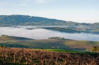 9 Sonoma County Wineries with Beautiful Views - Sonoma.com
