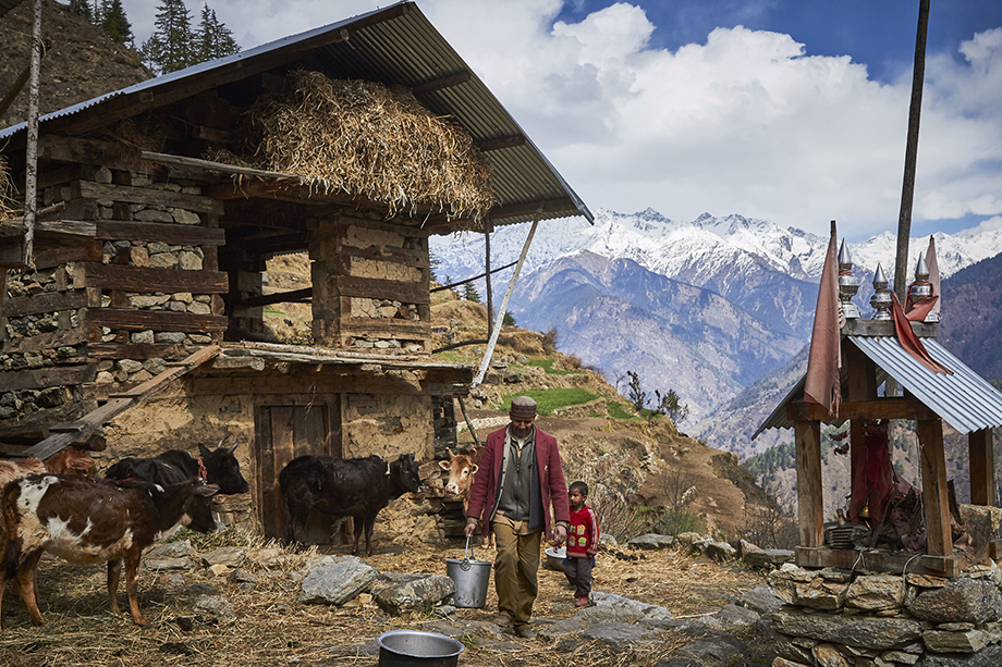 Mark Katzman: Travel Through India for FES | Wonderful Machine