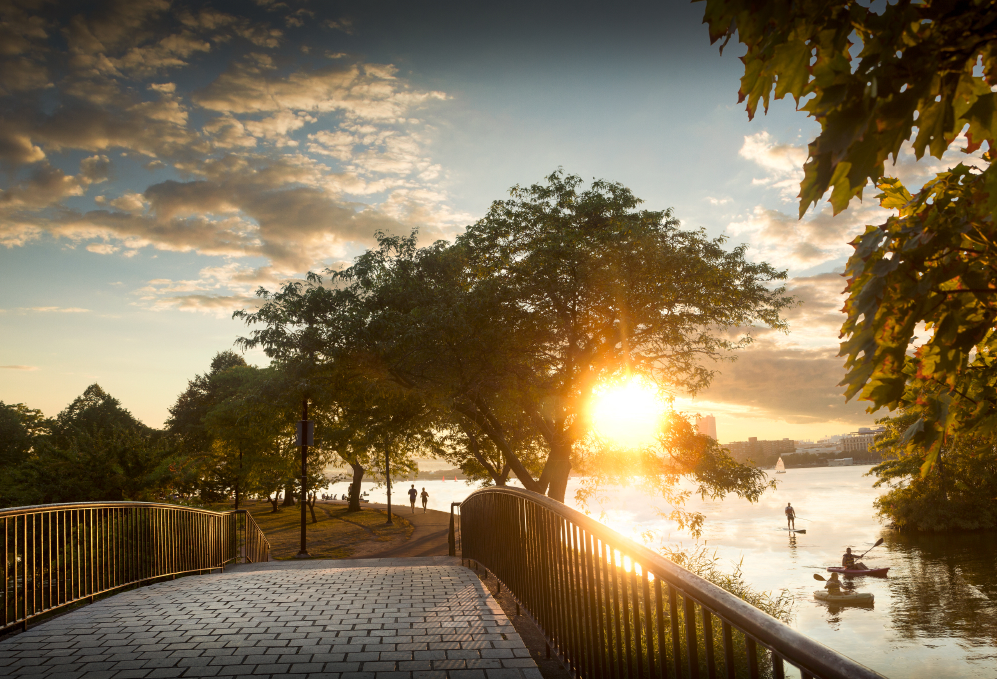 Josh Andrus: Iconic Boston | Wonderful Machine