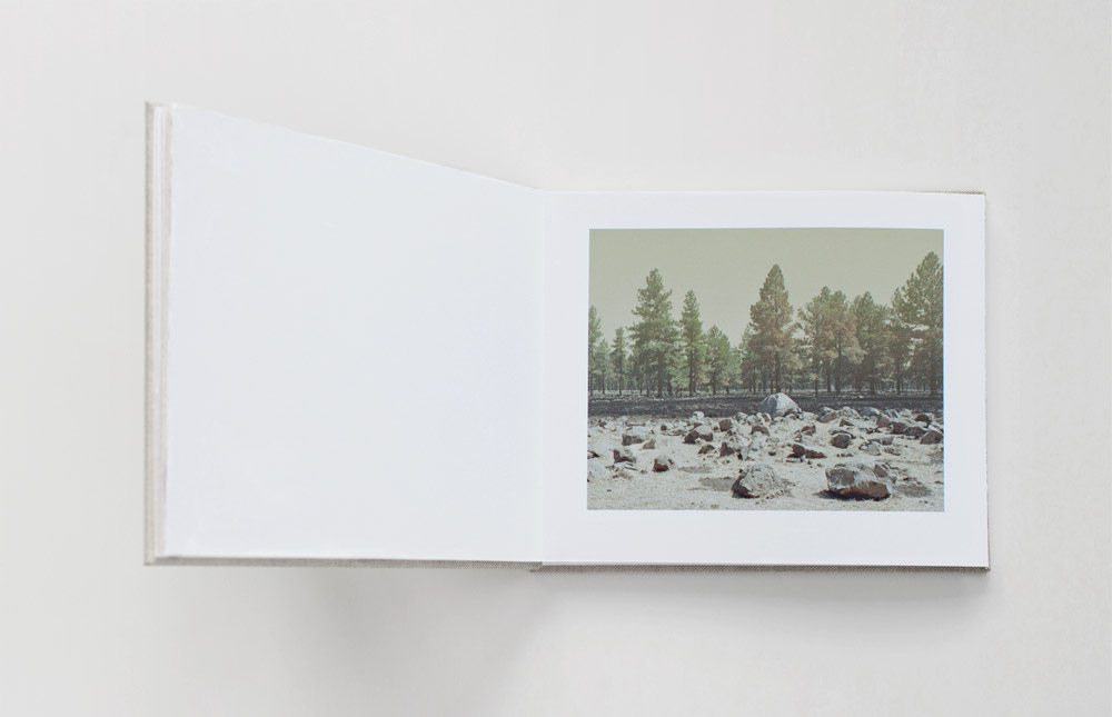 Spotlight: Jesse Rieser on The Wallow Fire | Wonderful Machine