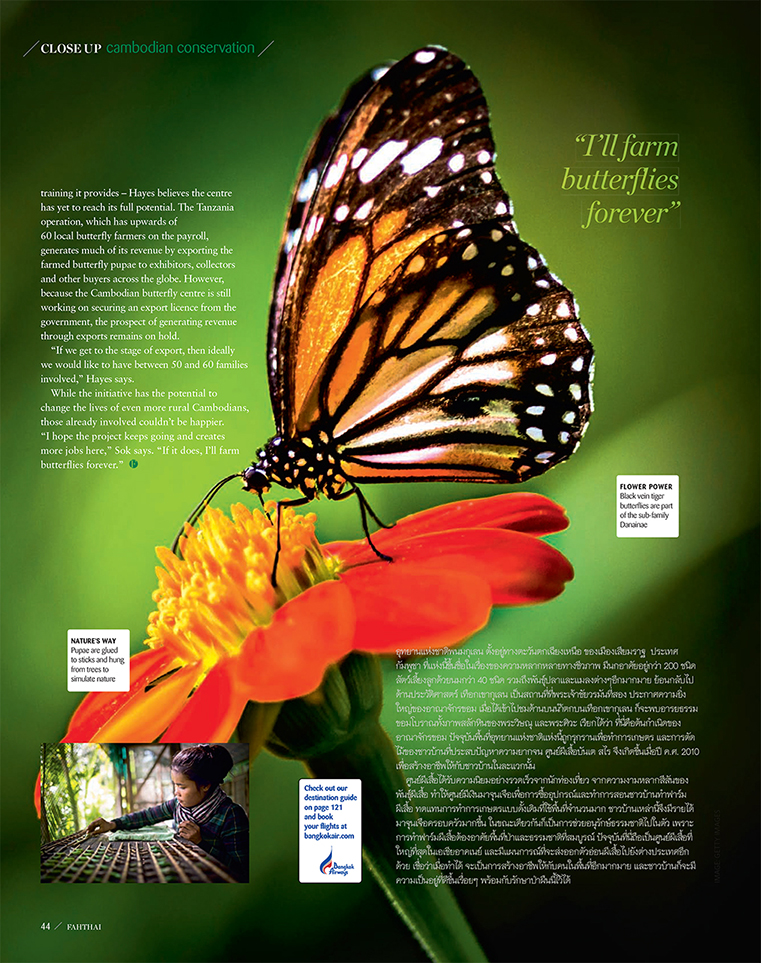 Tim Gerard Barker: The Butterfly Effect