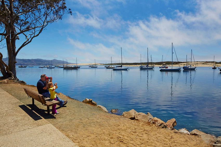 Spotlight: Steve Craft: Capturing Tourists