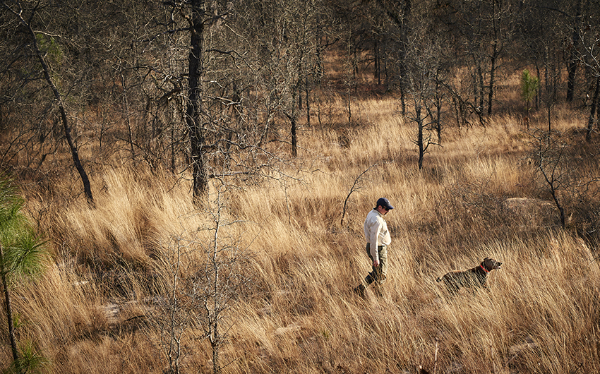 Spotlight: Greg DuPree goes Chasing Snakes | Wonderful Machine