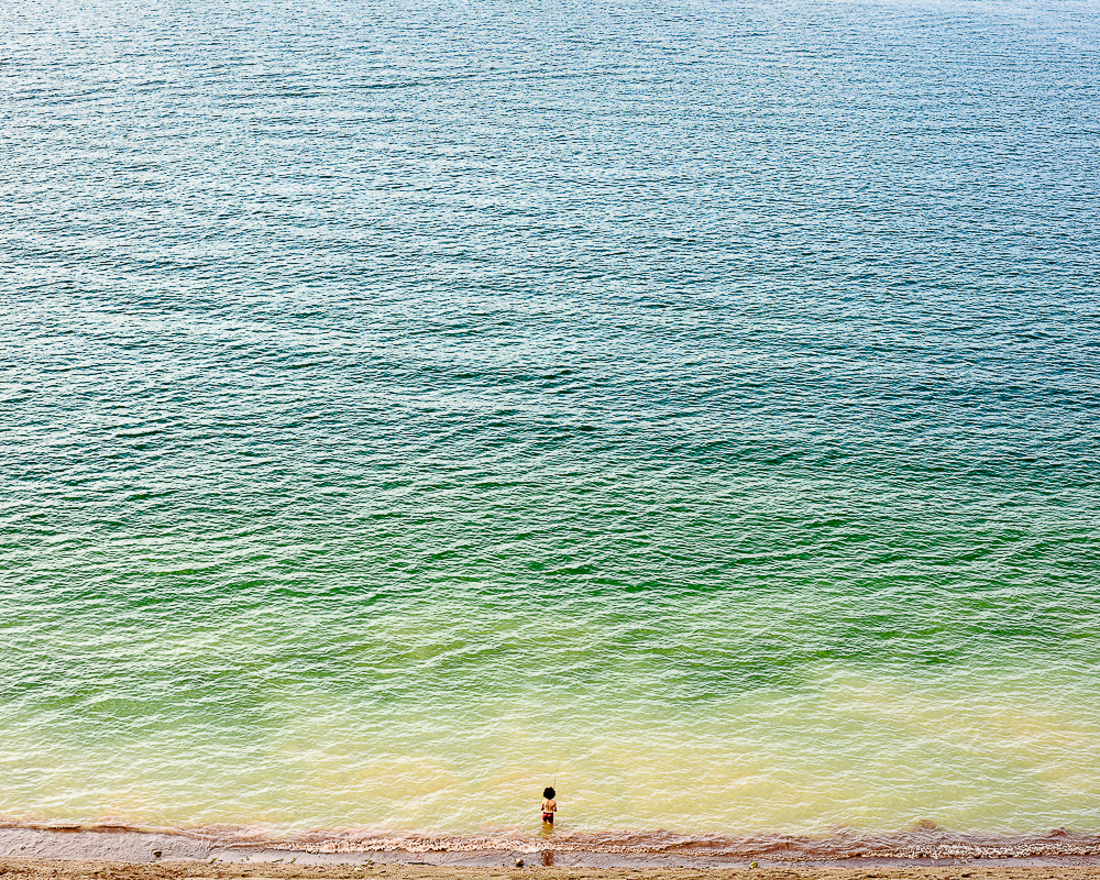 Creative in Place: What the Birds See | Wonderful Machine