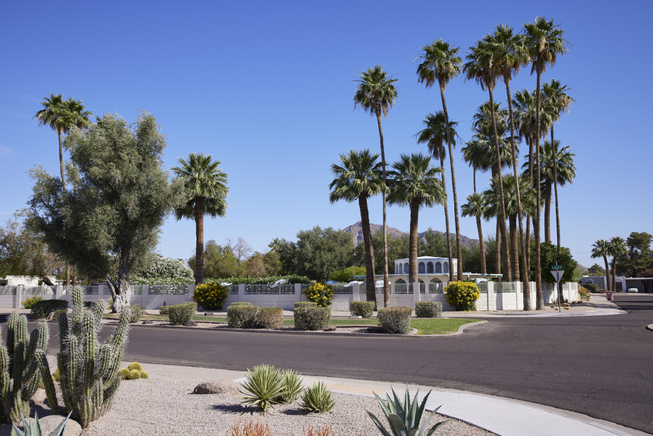 Steve Craft for Phoenix Home & Garden Magazine | Wonderful Machine