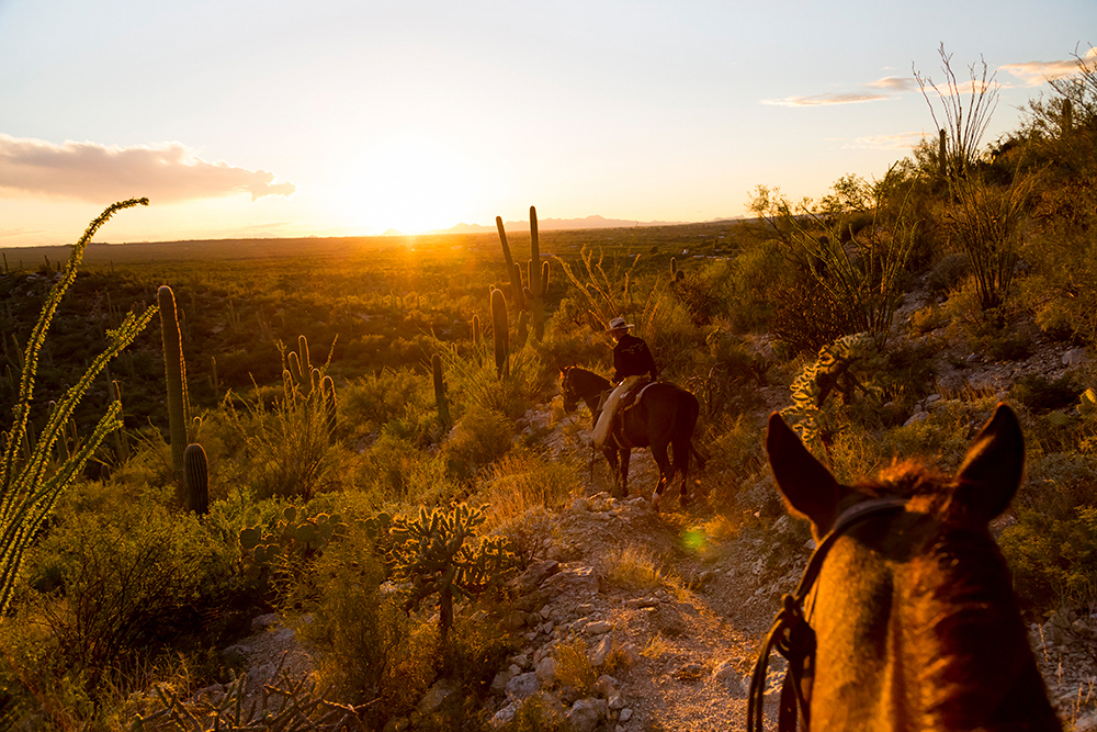 Creative in Place: Life on the Ranch | Wonderful Machine