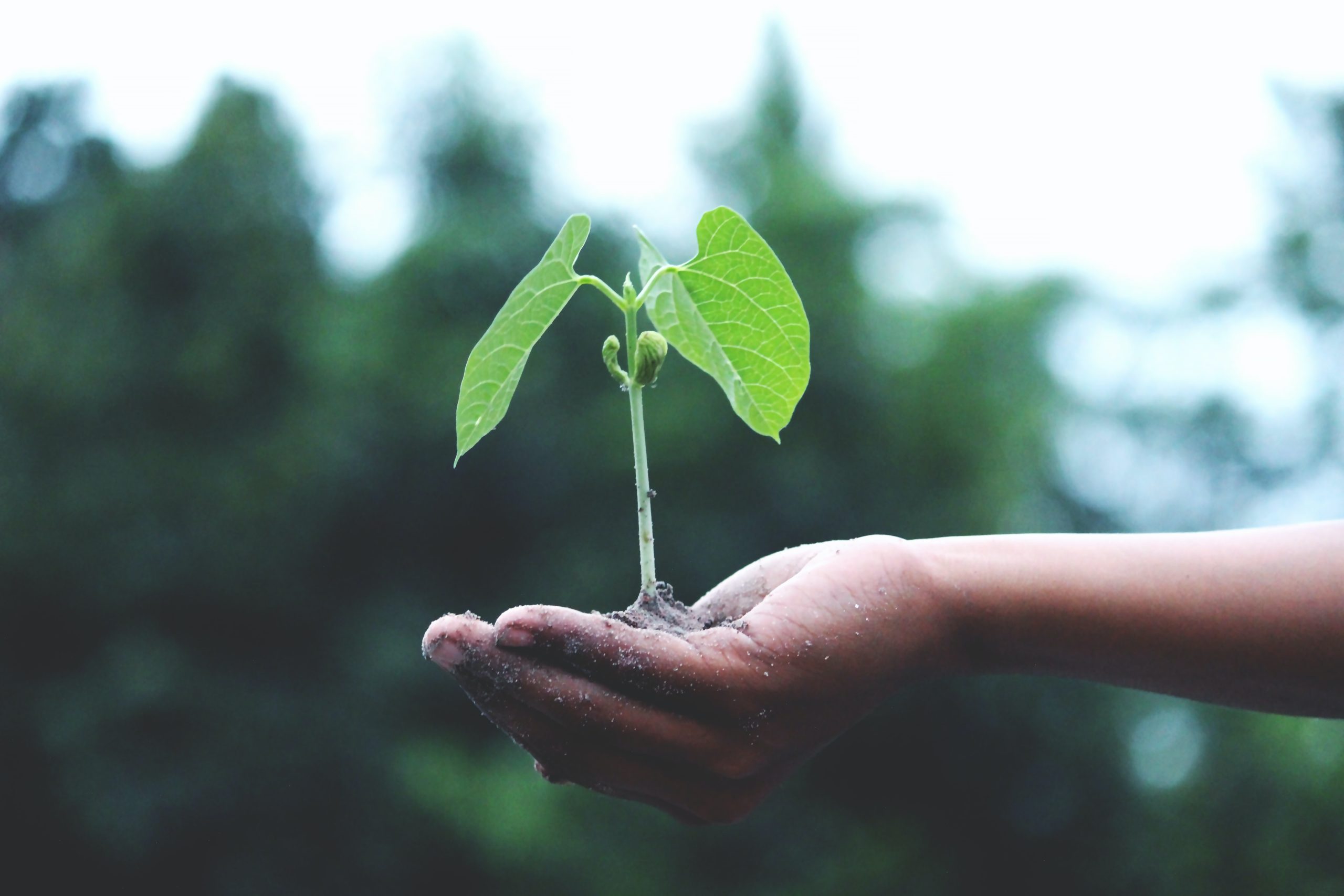 How Do Habits Form and Become Second Nature? - Shortform Books