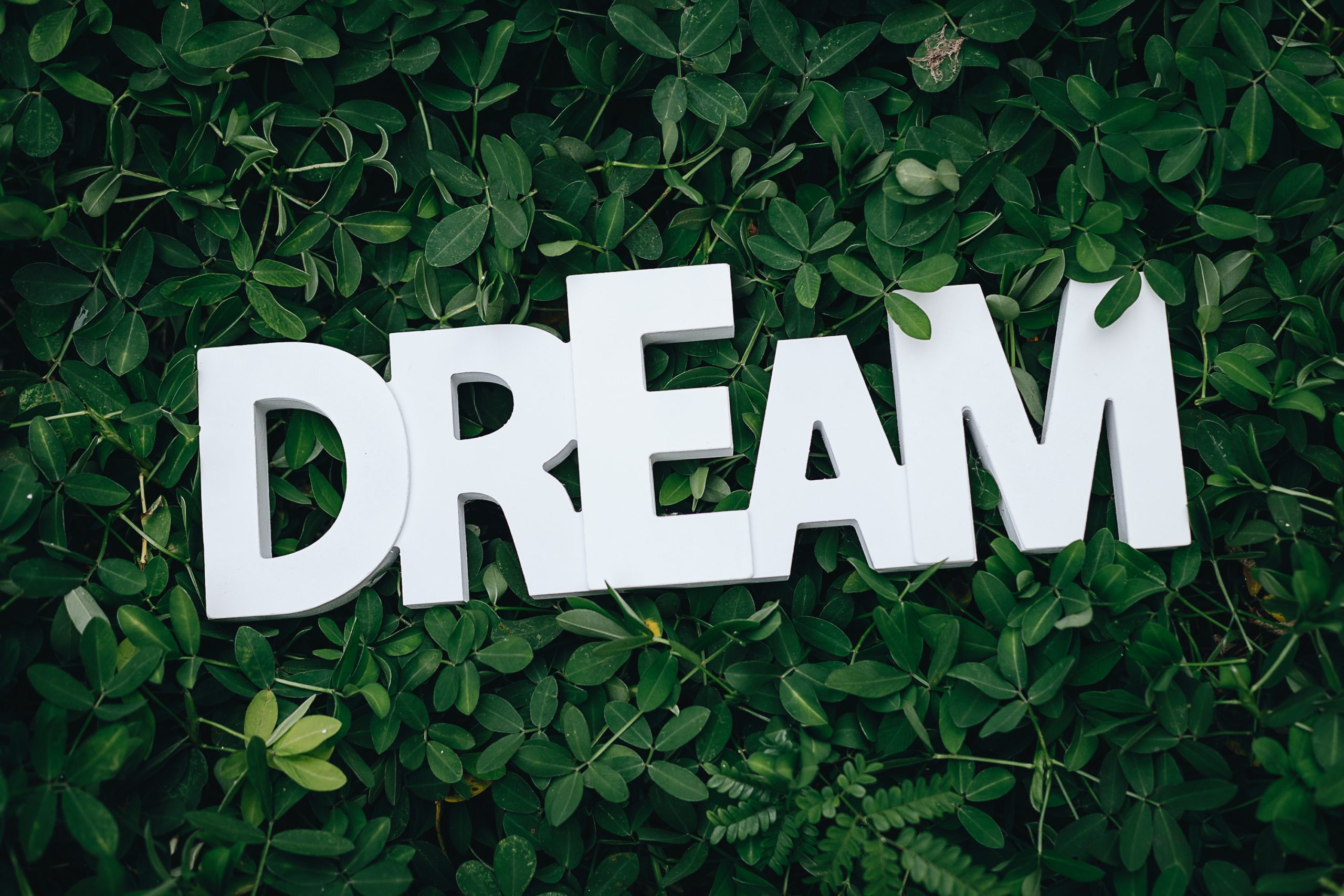 How to Achieve Your Dreams in Life: Work Smarter - Shortform Books