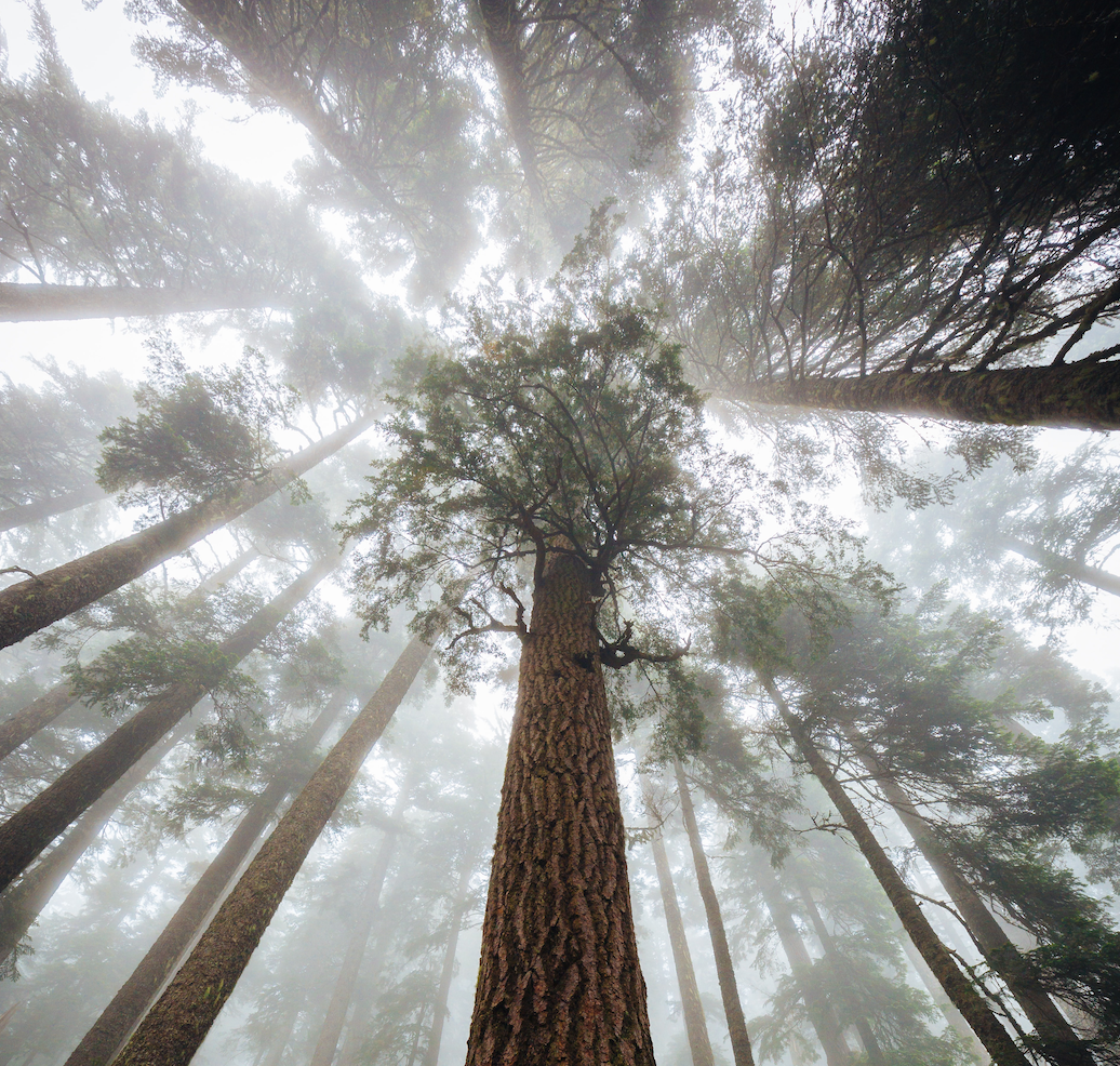 Your Guide to Vertical Project Planning - Shortform Books