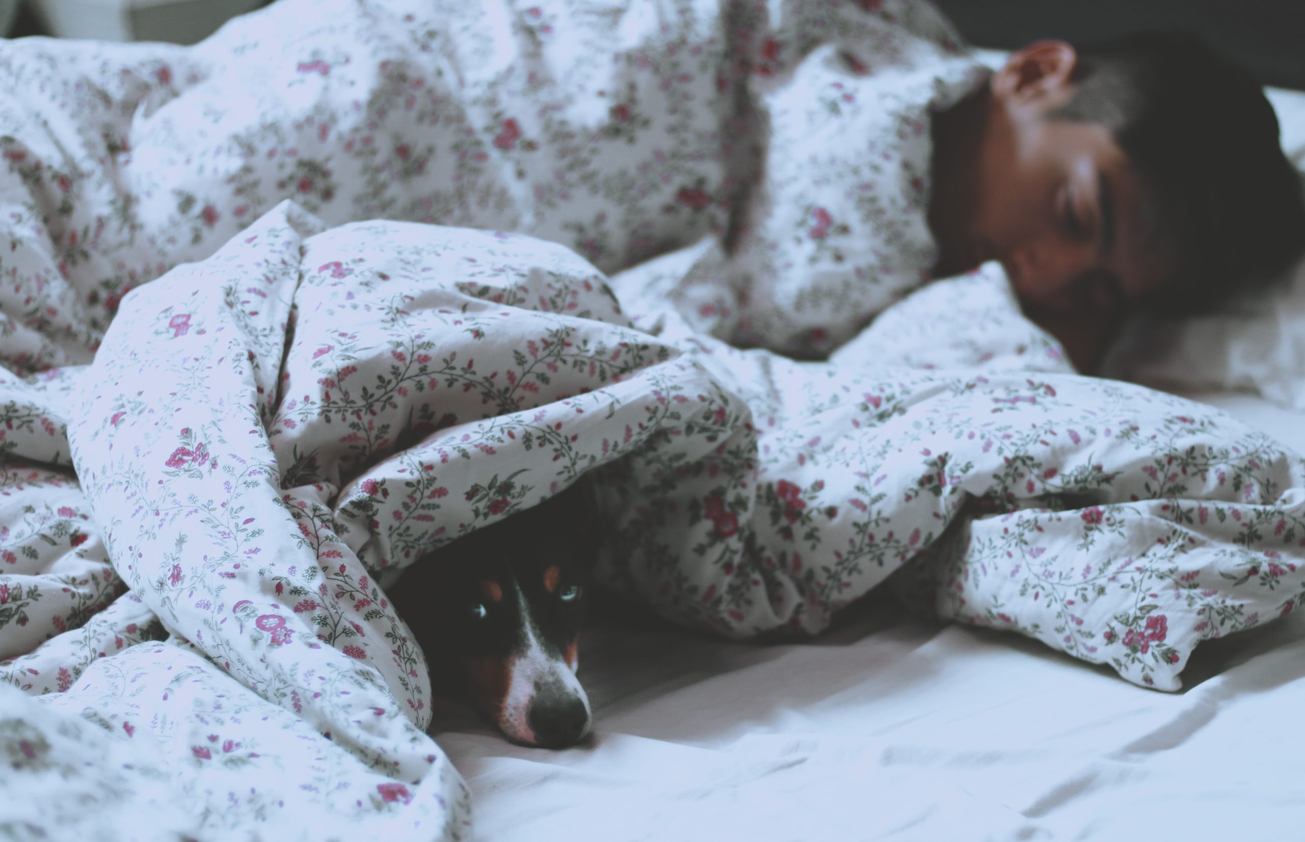 Are Sleeping Pills Bad for You? Basically, Yes - Shortform Books