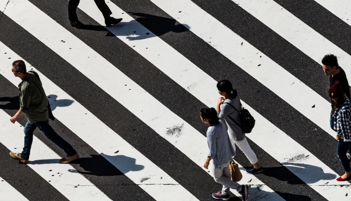 Humans and Econs: Feelings Versus Rationality - Shortform Books