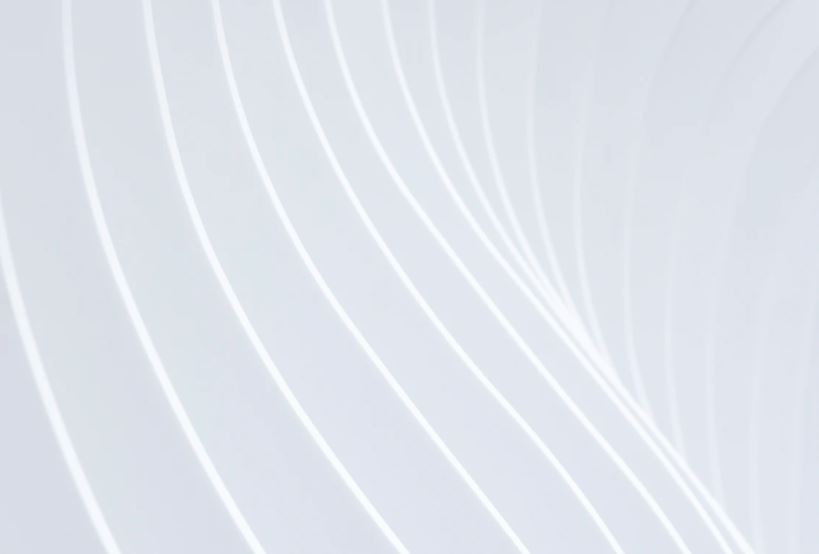 Whiteness: What is White Identity in America? - Shortform Books