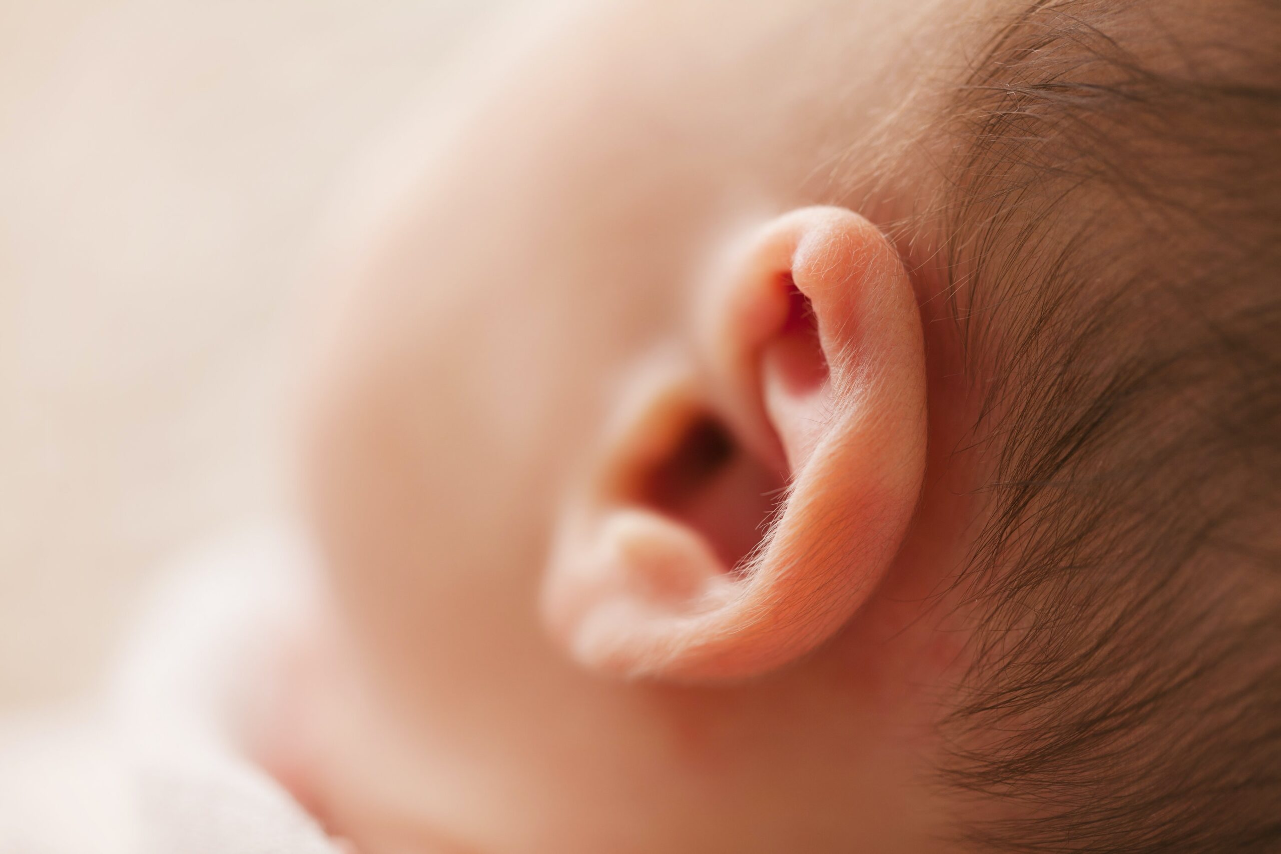 What Does the Inner Ear Do? Your Complete Guide - Shortform Books