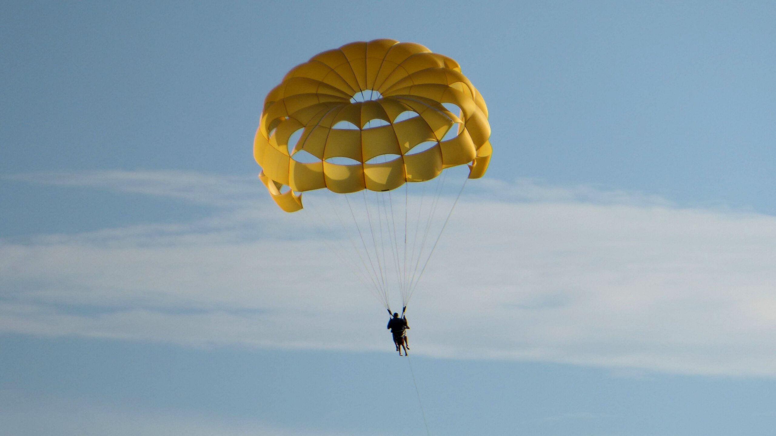 Working for Yourself: The Parachute Book's Tips - Shortform Books
