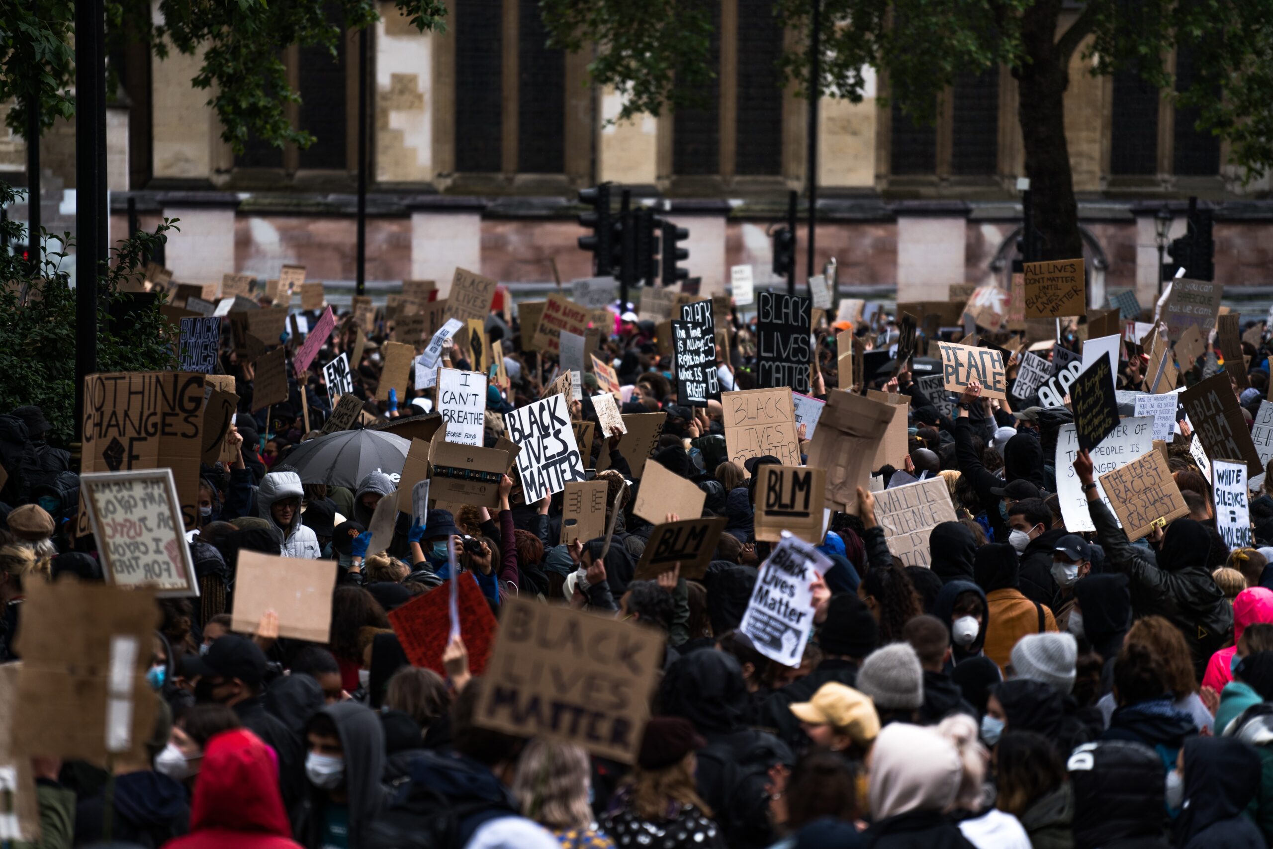 Protest vs Demonstration: Is There a Difference? - Shortform Books