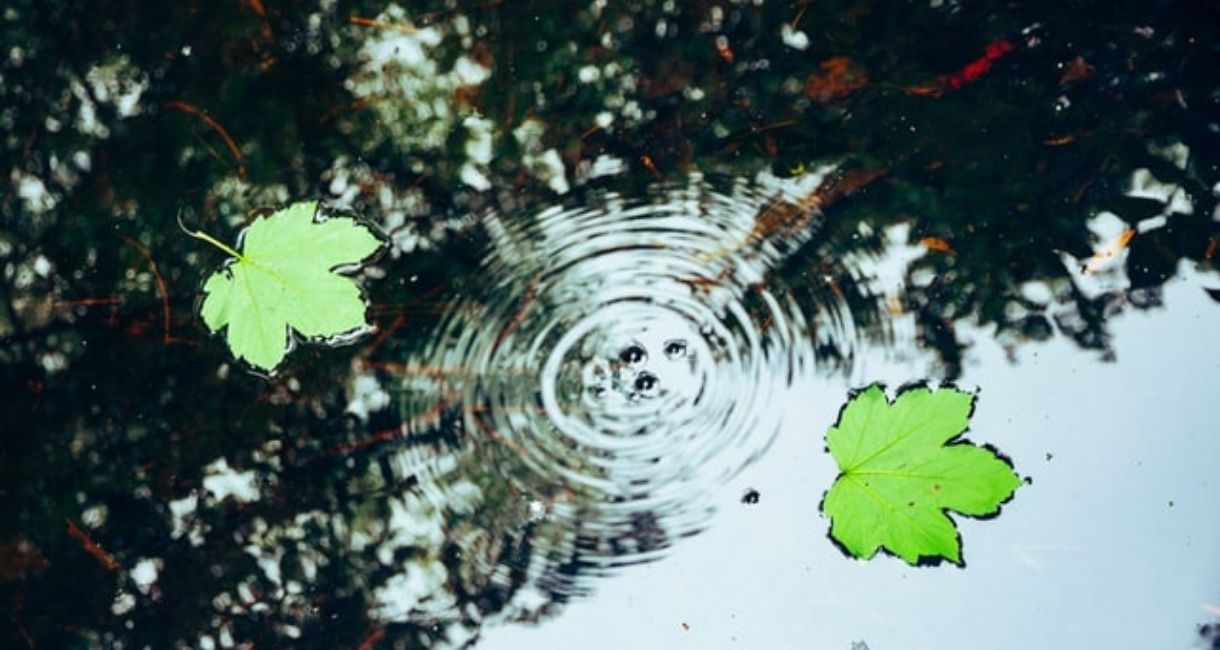 Ripple Effect: The Psychology of Behavior Change - Shortform Books