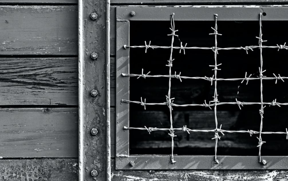 Leon: The Tattooist of Auschwitz Needed a Friend - Shortform Books