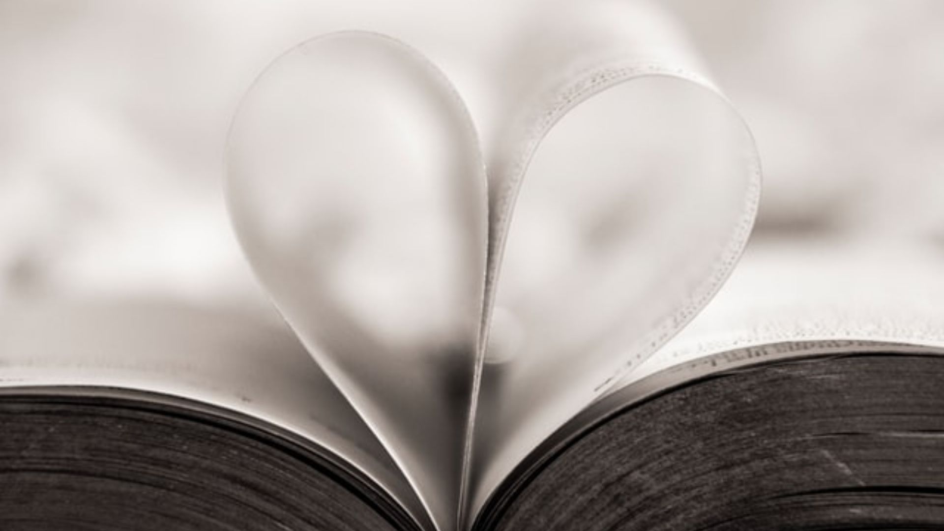 Anne and Peter: The Love Story of the Secret Annex - Shortform Books