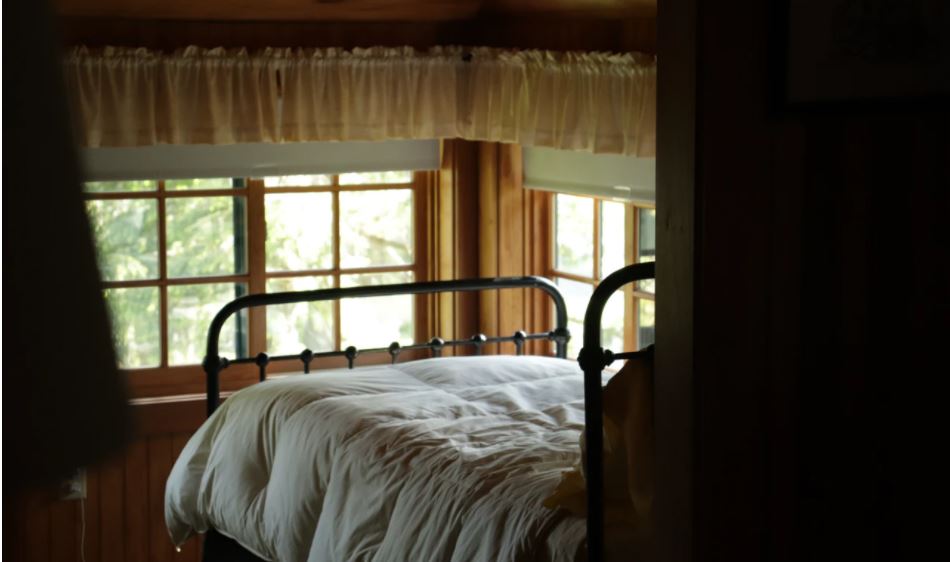 Lucille Cook's Battle With Yellow Fever in Fever 1793 - Shortform Books