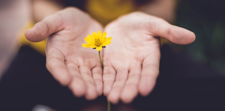 Embrace Grace: How to Be Open Without Seeking - Shortform Books