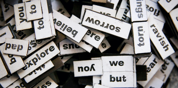 Why Words Are Important in Big Data Studies - Shortform Books