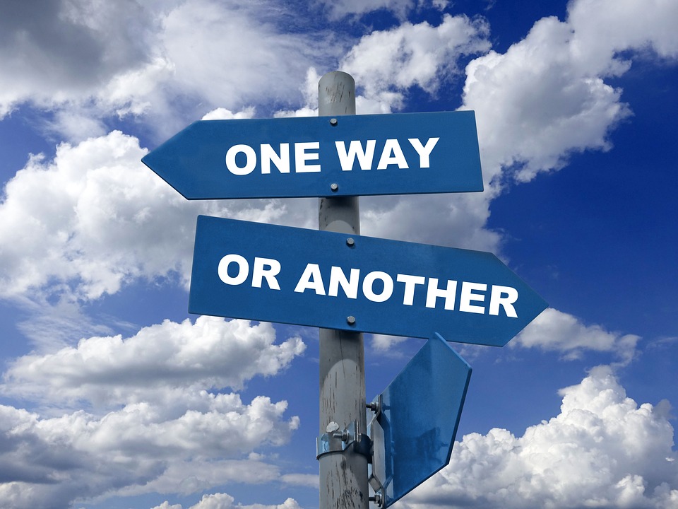 The 3 Core Principles of Objective Decision-Making - Shortform Books