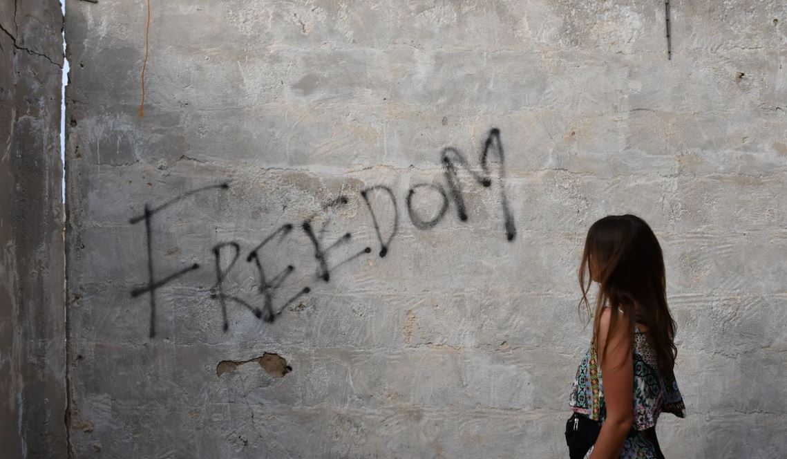 What Are the Types of Freedom? Amartya Sen Explains - Shortform Books