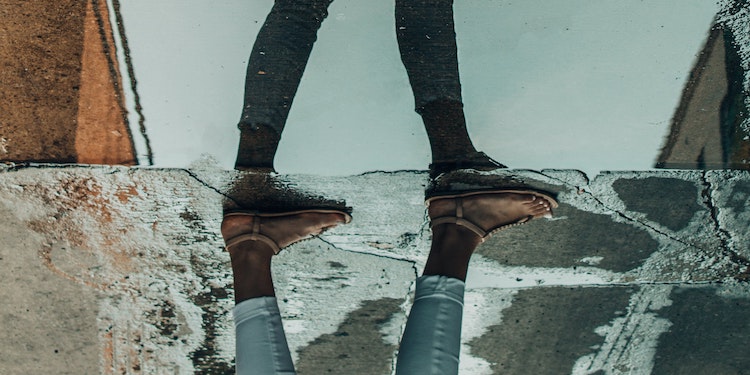 Perception Is Subjective: How We Sense Reality - Shortform Books