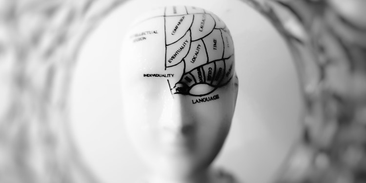 How People Learn: Insights Into Thinking and Memory - Shortform Books