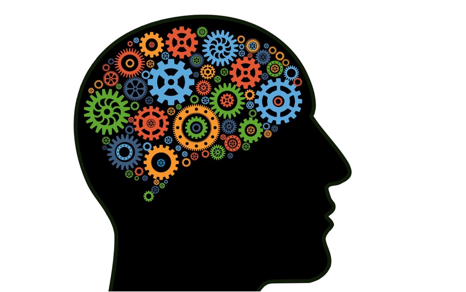 How the 5 Second Rule Challenges Brain Patterns - Shortform Books