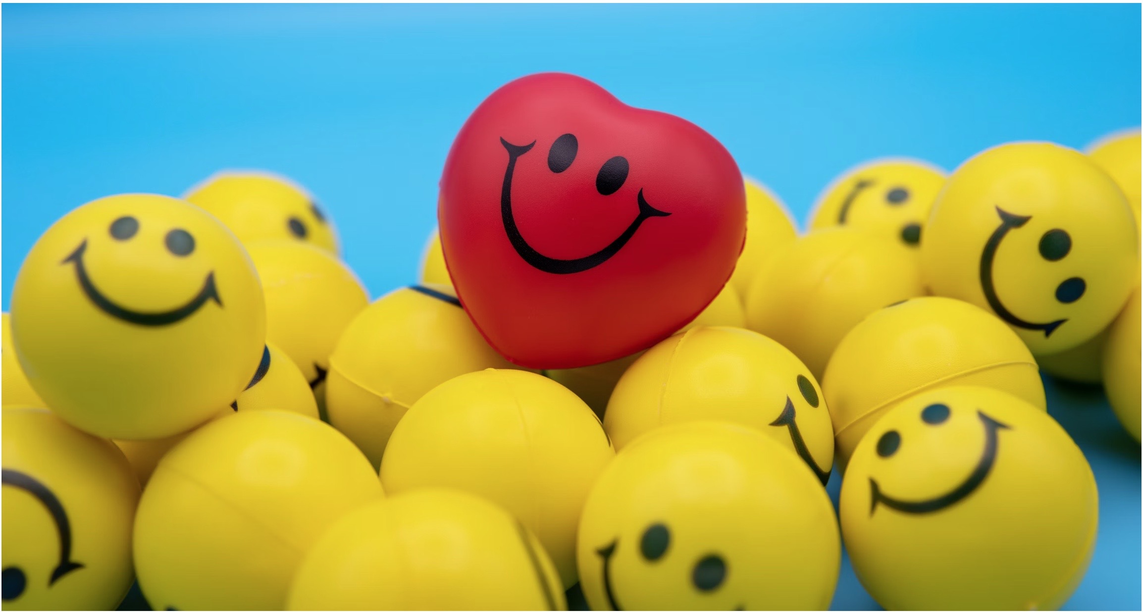 6 Hormones That Make You Happy: Keys to Wellbeing - Shortform Books