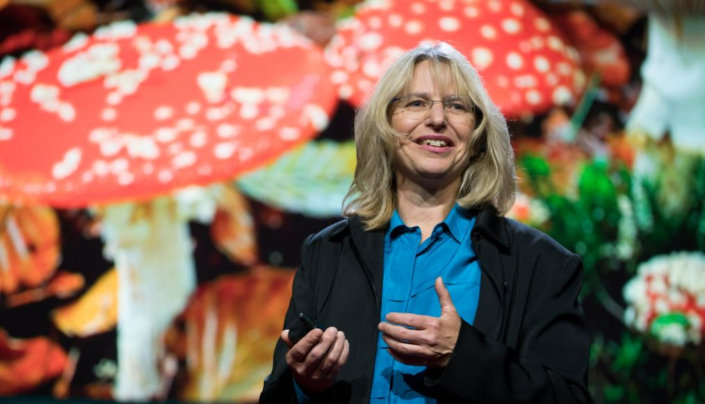 Suzanne Simard: Biography and Career - Shortform Books