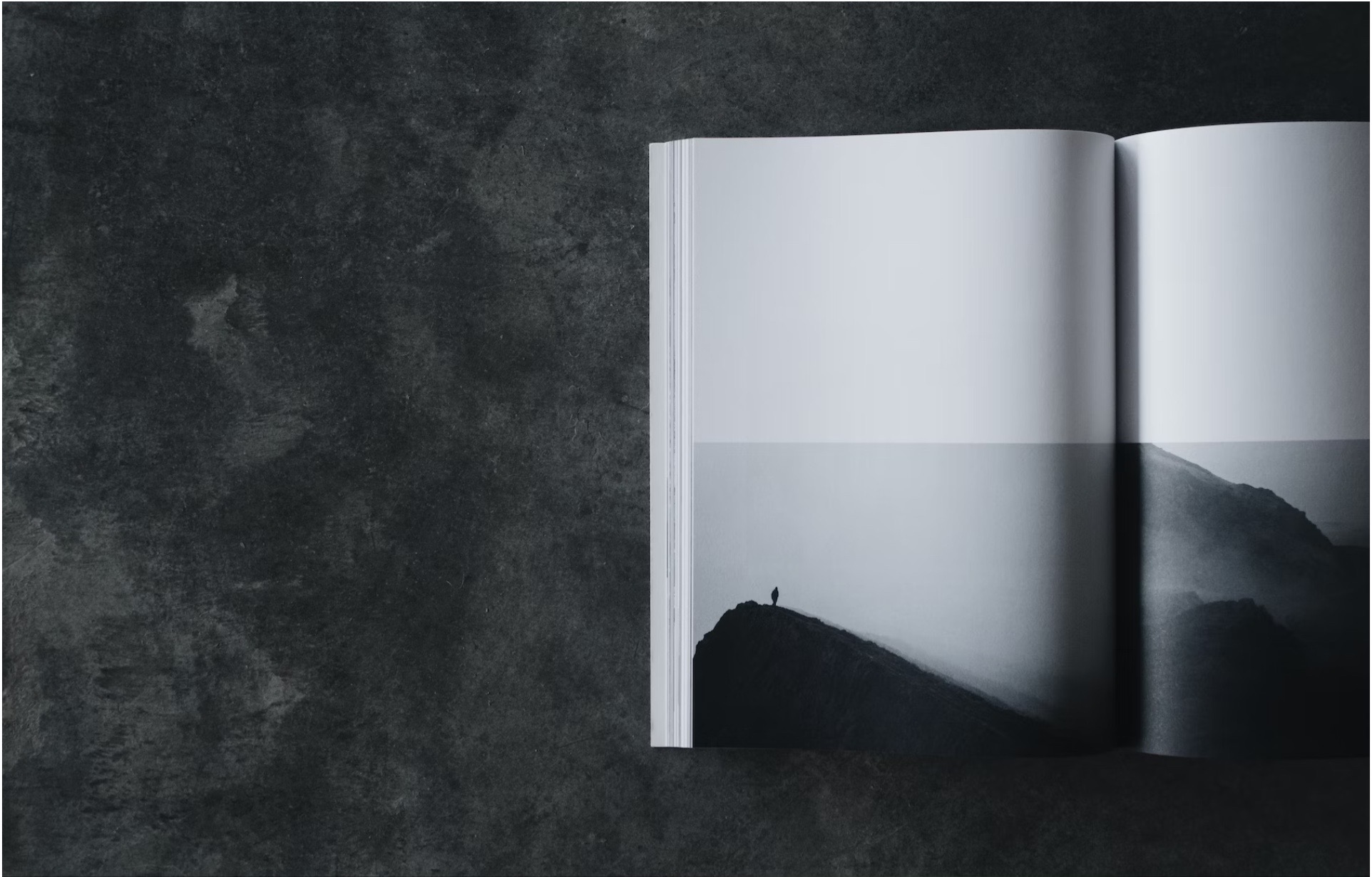 Black Like Me Book Review (John Howard Griffin) - Shortform Books