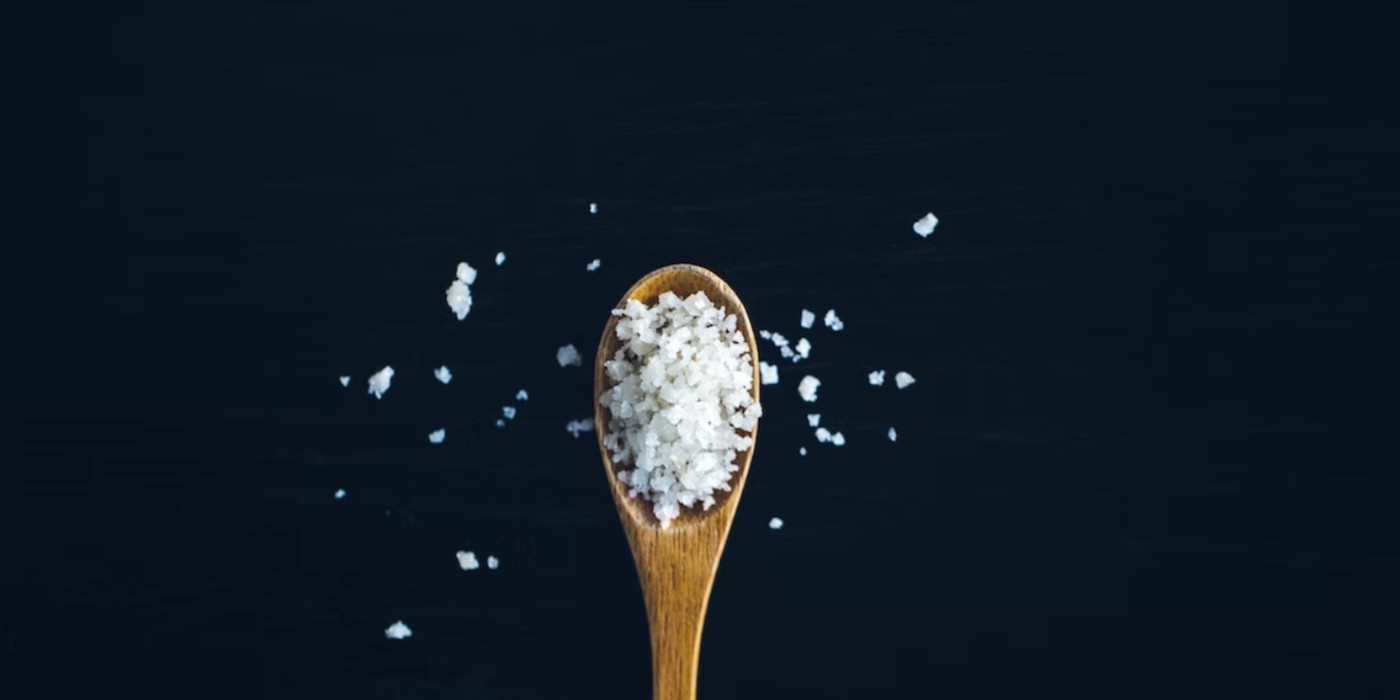 Why Is Salt So Valuable? Looking Back at the Salt Trade - Shortform Books
