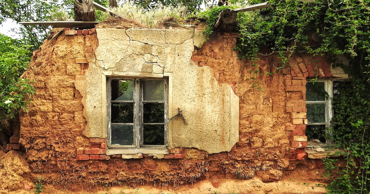 The Earth After Humans: Alan Weisman's Thought Experiment - Shortform Books