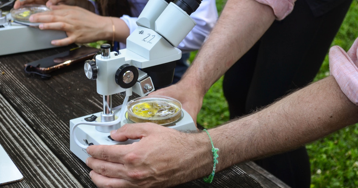 Steven Koonin: Climate Science Needs a Serious Overhaul - Shortform Books