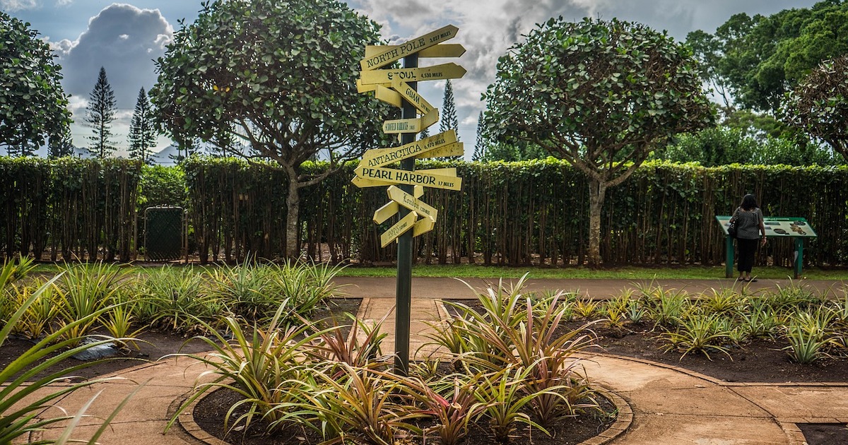 The Origin of Pidgin: The Intriguing Story of Language Mashups ...