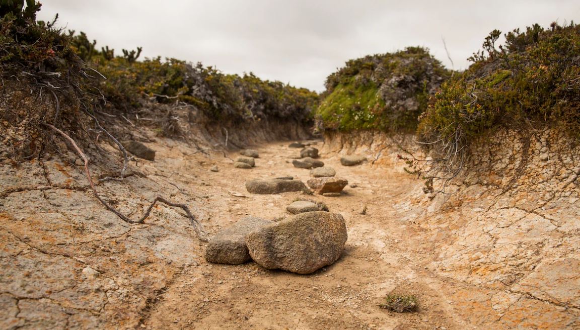 The Effects of Water Scarcity: Is Rationing Enough to Help? - Shortform ...