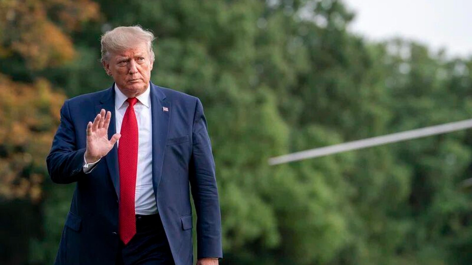 The Trump Presidency Timeline: From 2016 to 2020 - Shortform Books