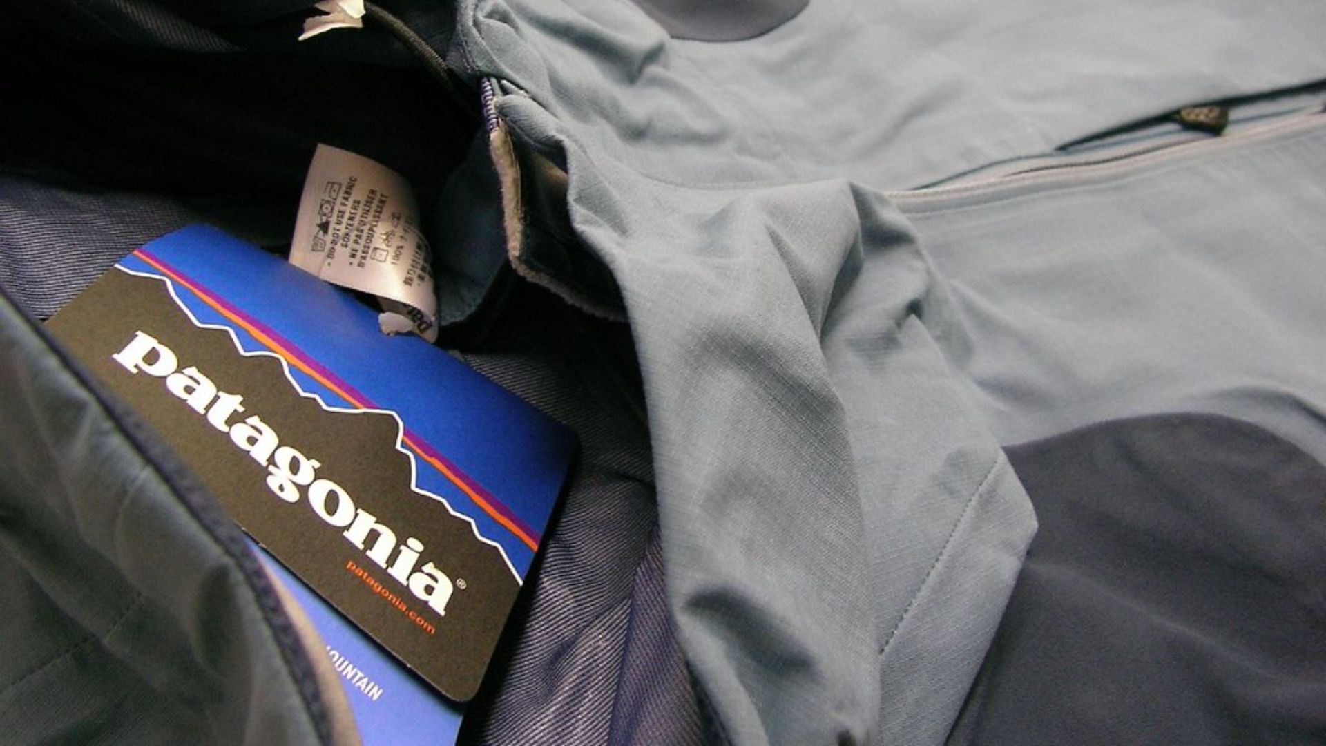 History of Patagonia Clothing: Earliest Challenges & Crises - Shortform ...